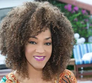 Elvina Ibru Biography: Age, Husband, Wiki, Weight Loss, Net Worth ...