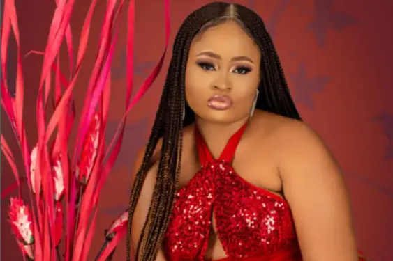Amaka BBNaija Biography: Age, Boyfriend, Parents, State of Origin ...