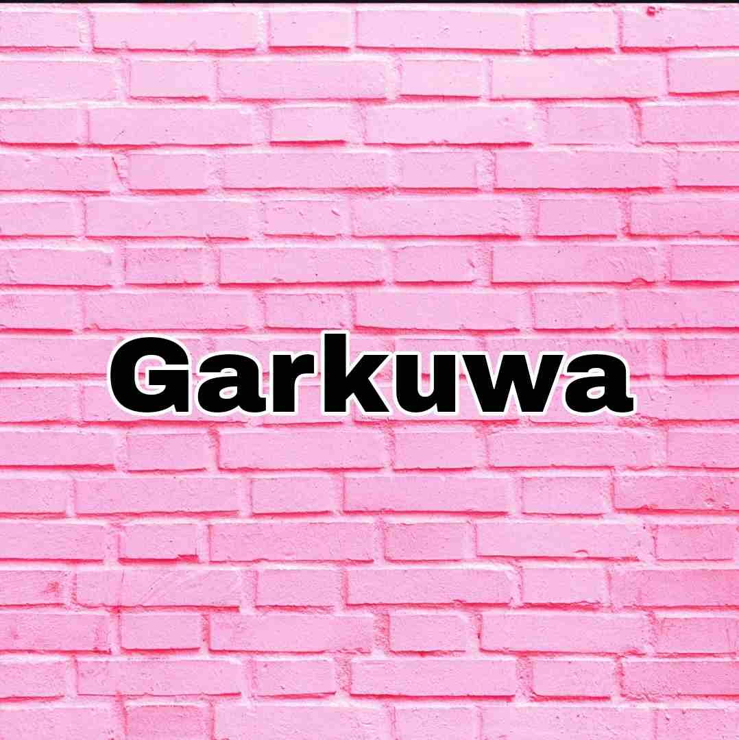 Garkuwa 30