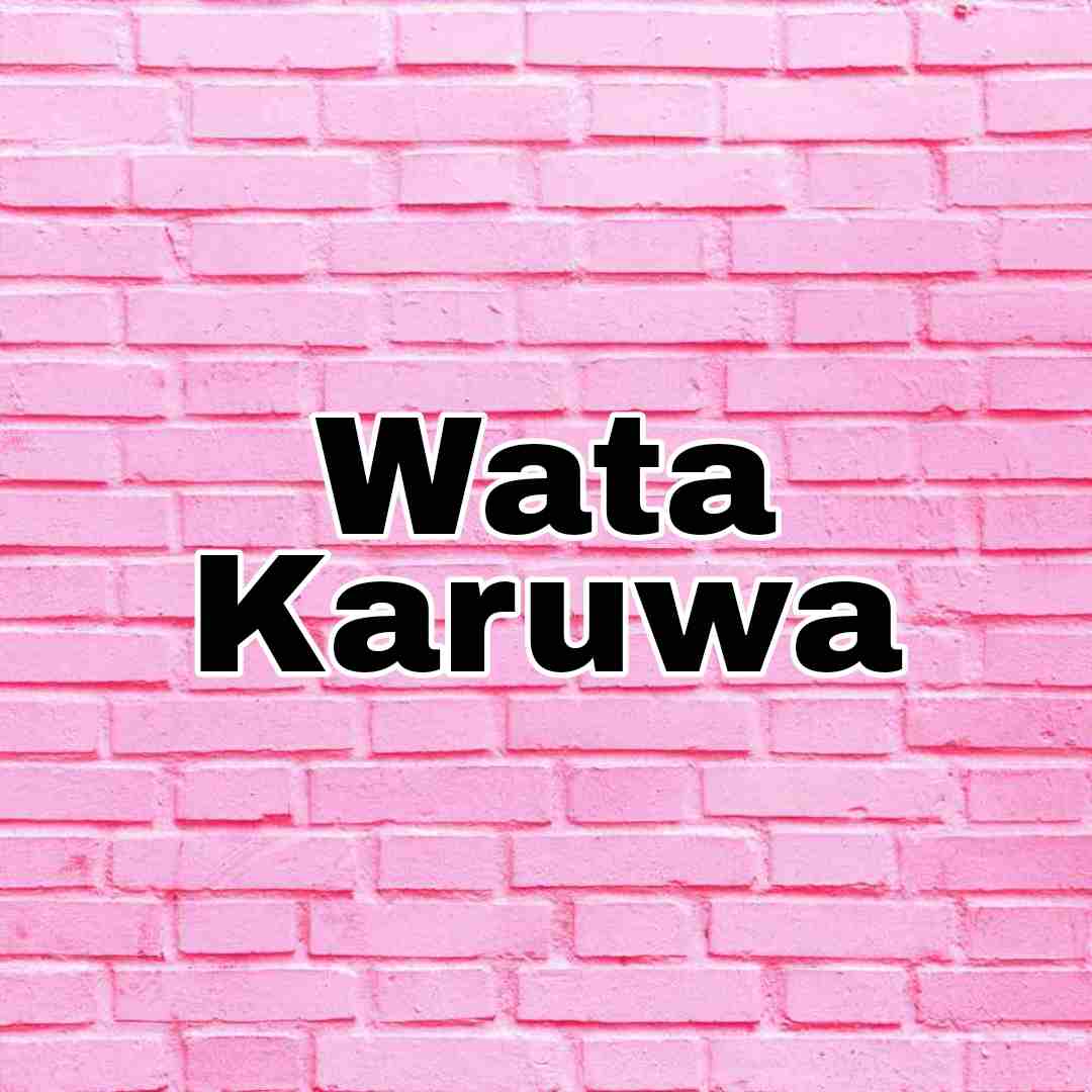 Wata Karuwa 2 Wata Karuwa 2